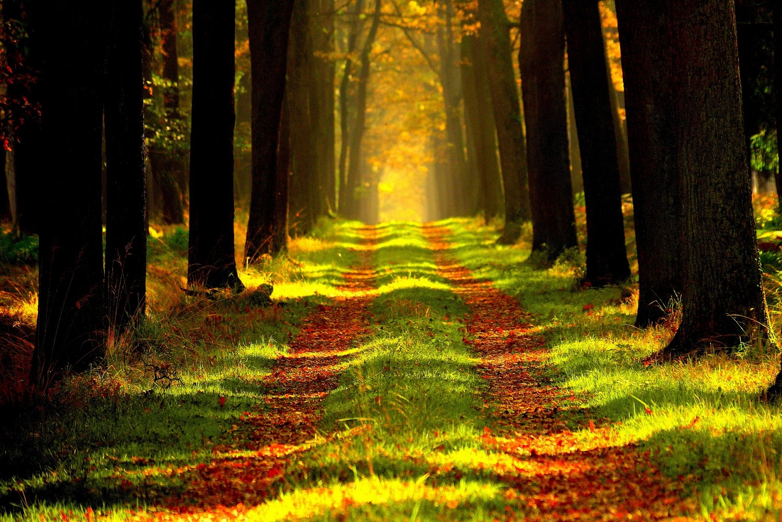 4K Manzara Resimleri