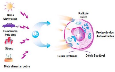 Fisioterapeuta Paula Mota Contruindo Saúde Através do Bem-Estar ...