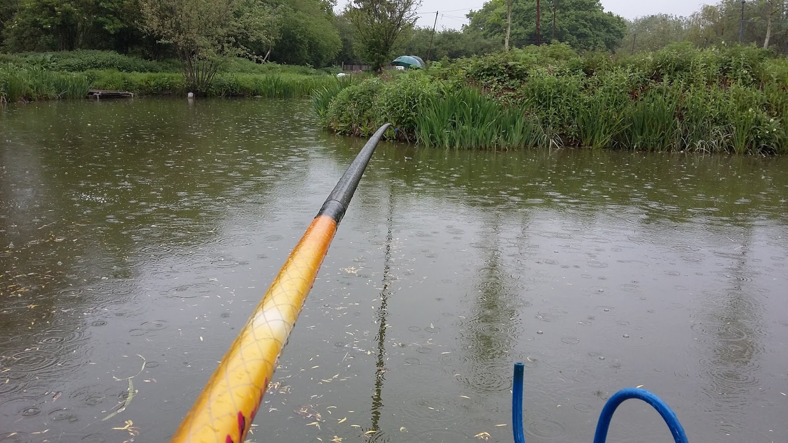 FishStrain: Magic Lakes 11-5-16