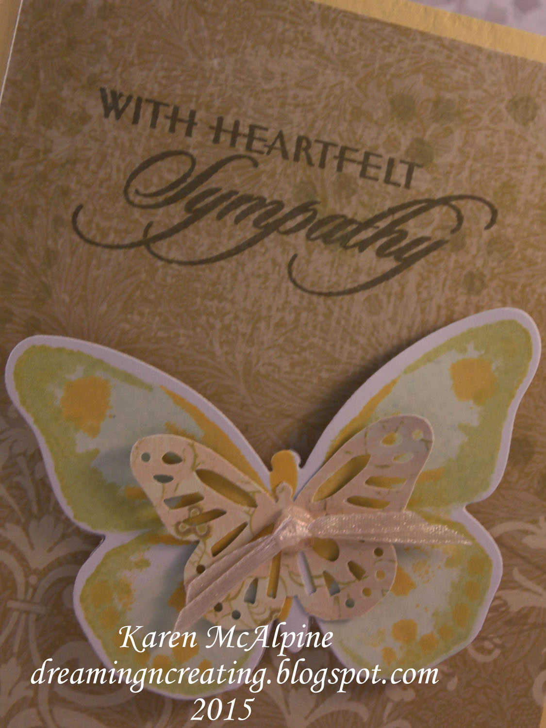 Dreaming and Creating: Butterfly Sympathy