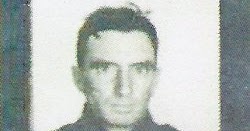 Happy Antipodean: The sadness of war