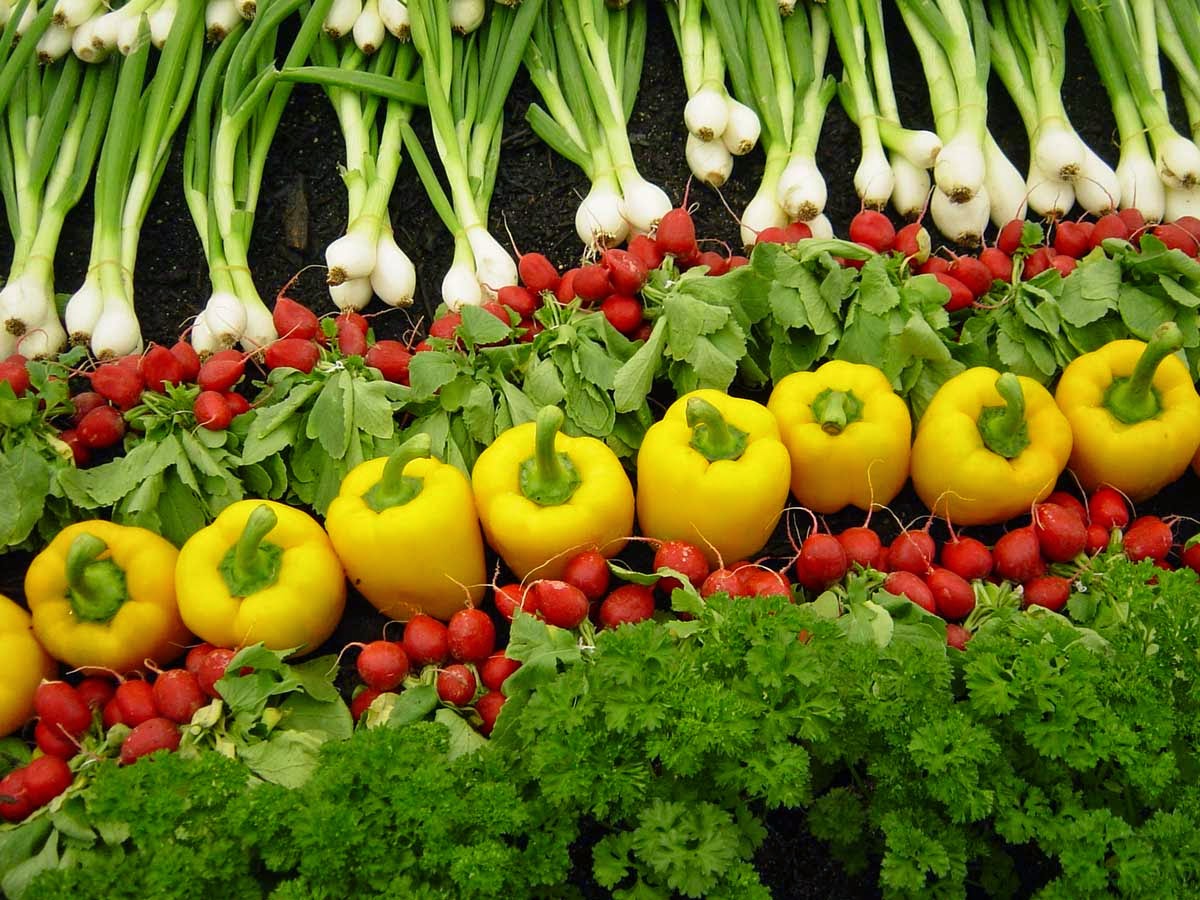 Agriculture And Technology Organic Farming agriculture-and-technology-organic-farming