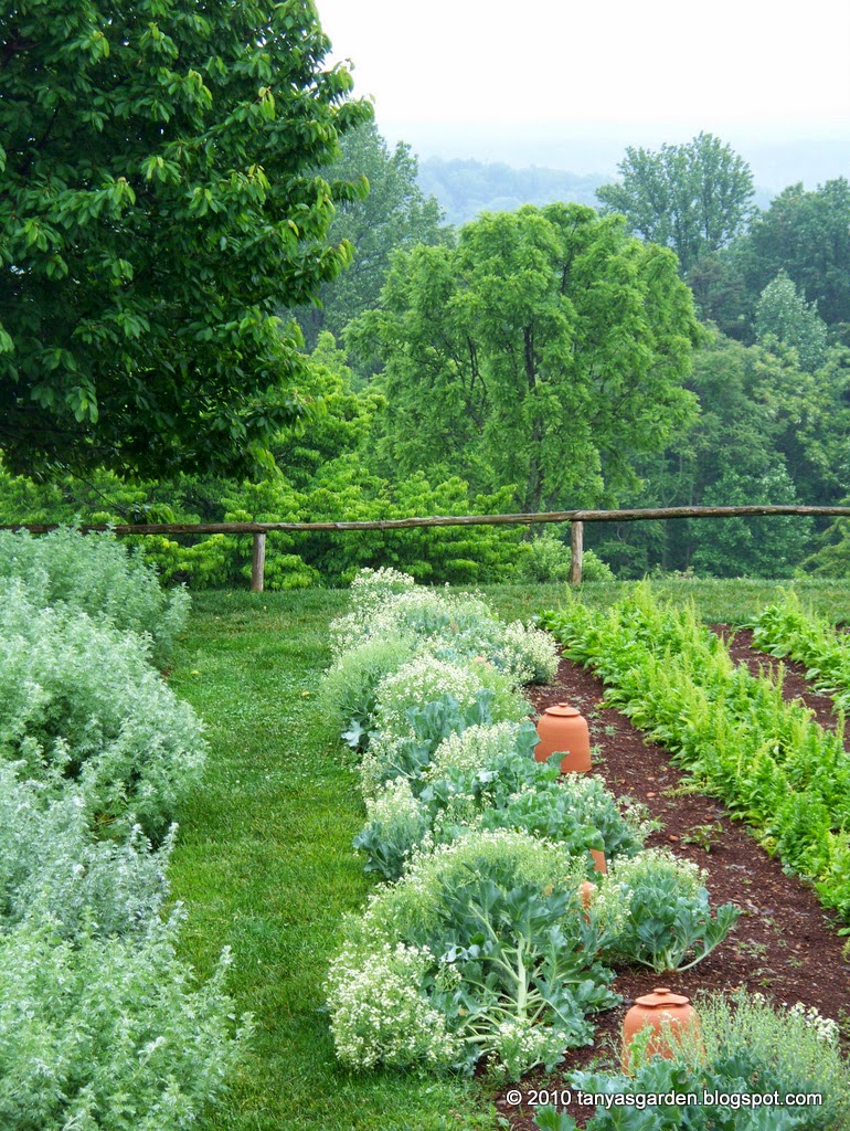 MySecretGarden: Colonial Gardens. Part 4.2 Monticello Vegetable Garden