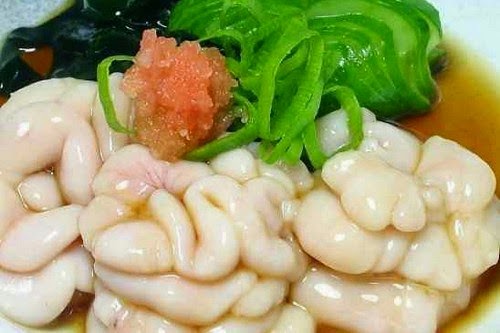 The 10 Of The Most Disgusting Food in The World | Know More Smart More