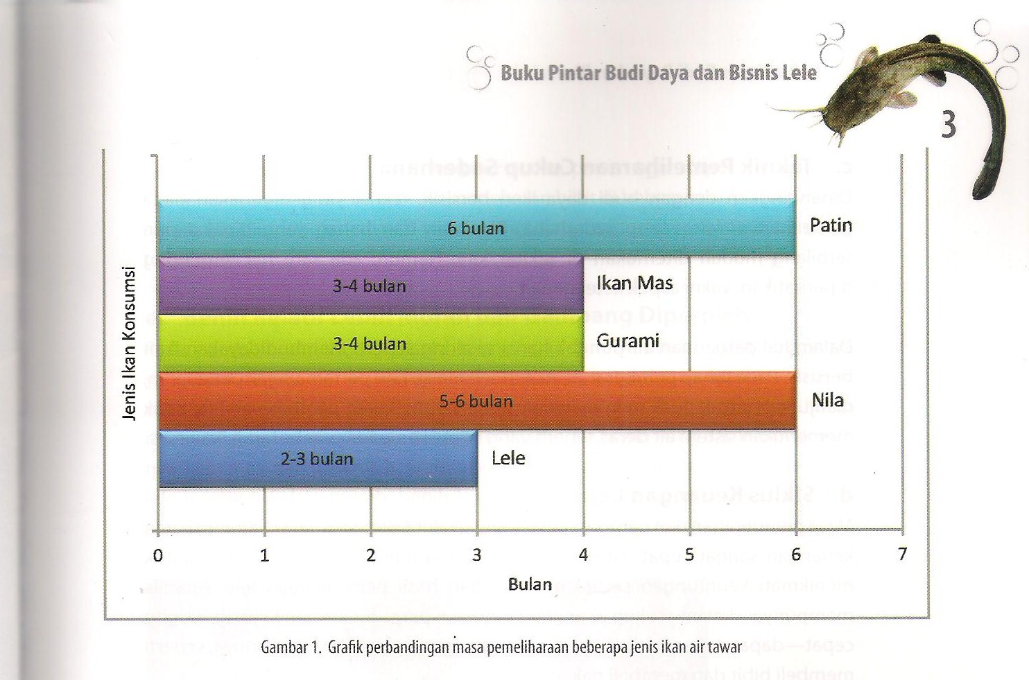 Tabel Pertumbuhan Ikan Lele Dalchaebi