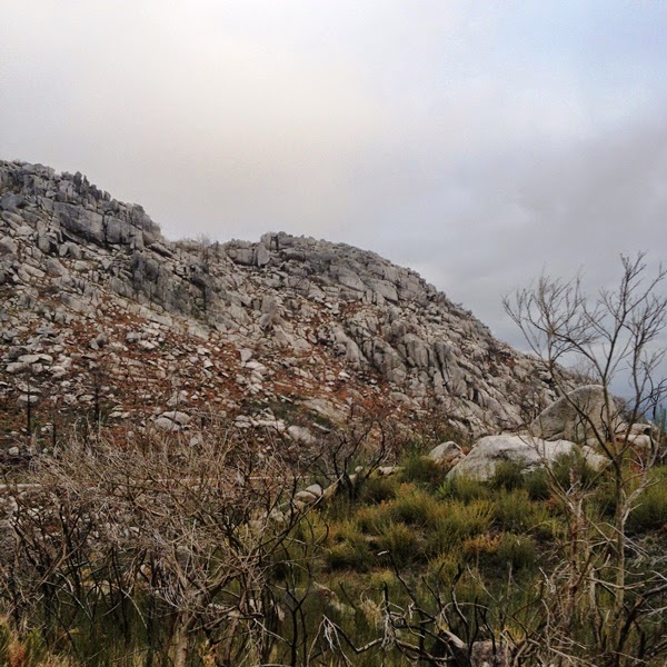 casa de mouraz: At the top of Caramulo mountain.