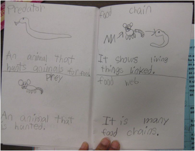 Science Notebooking: Animal Adaptations - Adrienne Teaches