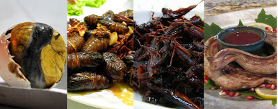 Most Exotic Foods in the Philippines ~ Mobile Price Watch