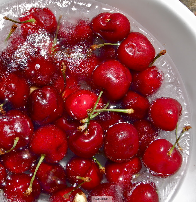 biobabbler: chicken cherry pop