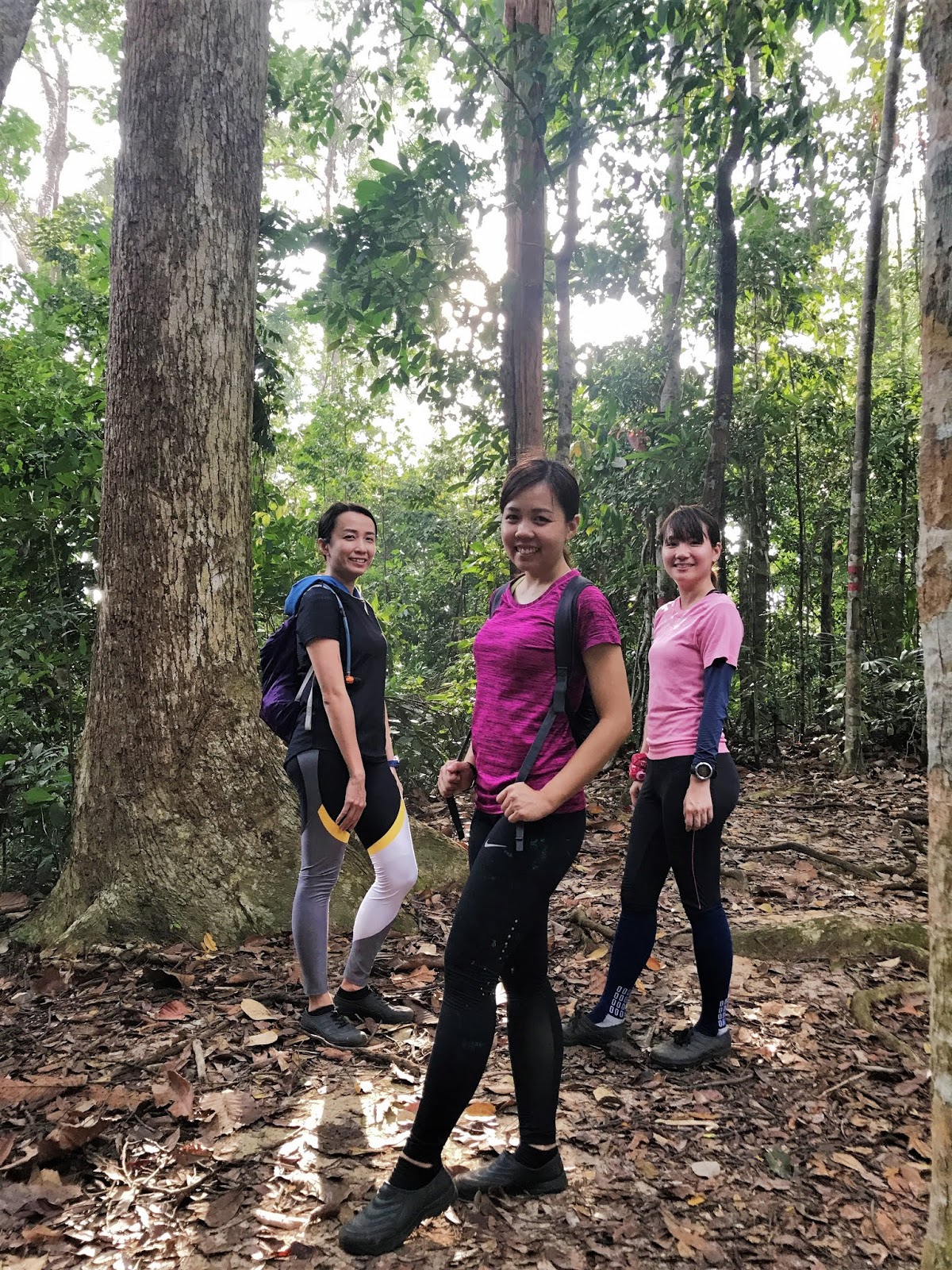 Gunung Arong Day Hike - The Love of Tanjung Resang | Catchingtravels