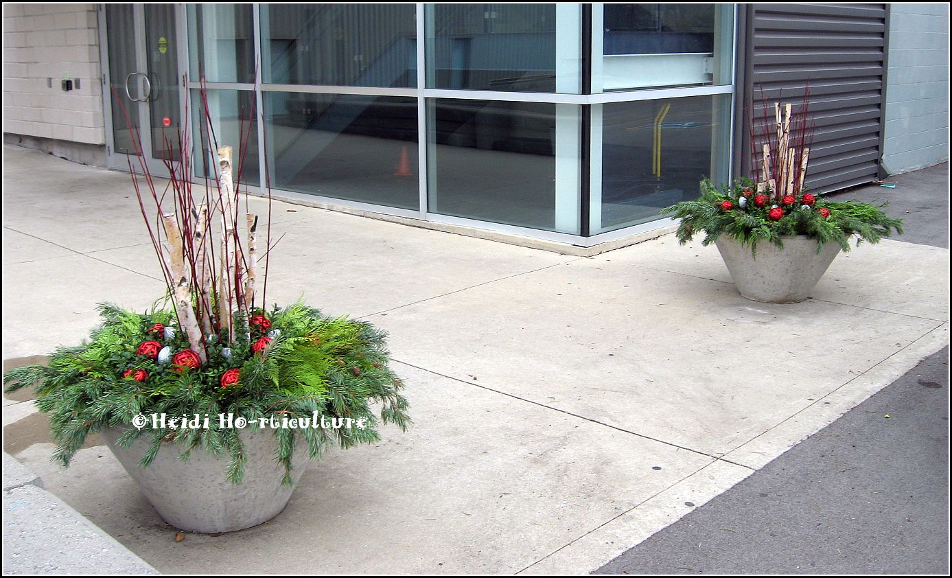 Heidi Horticulture: Outdoor Christmas Container - Large Planter