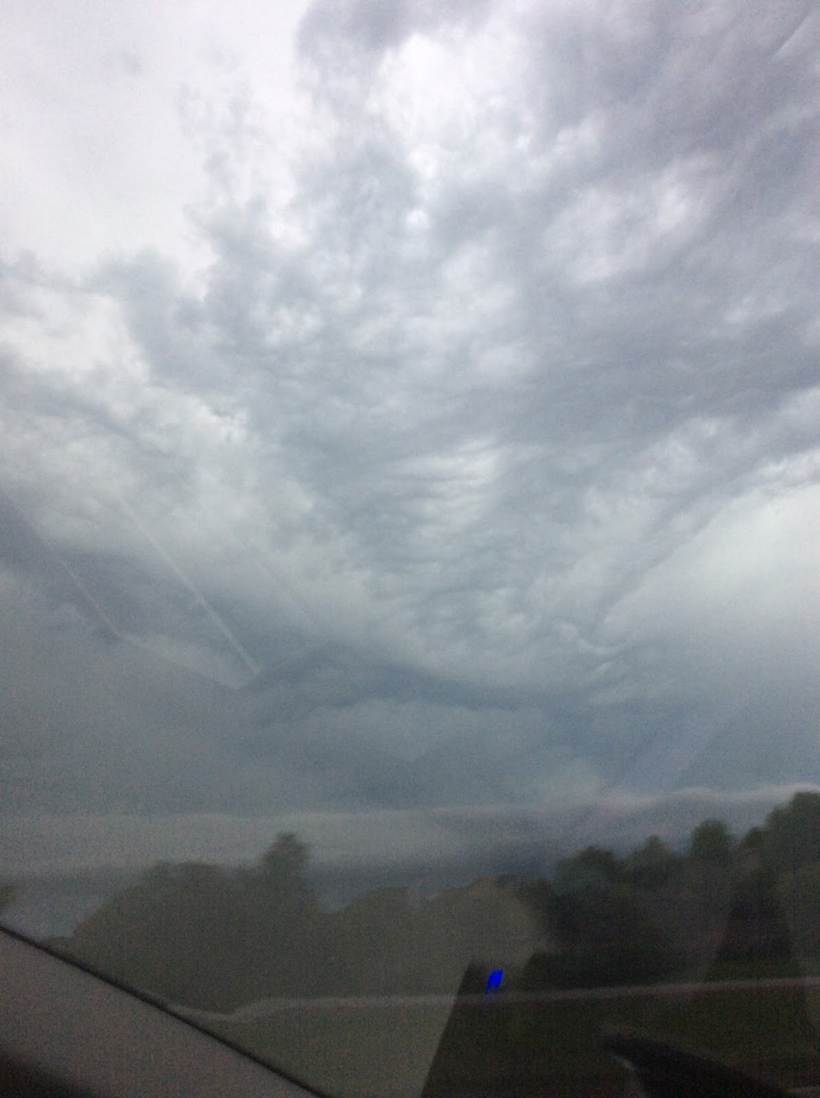 Elder Landon Shoemaker: 2016