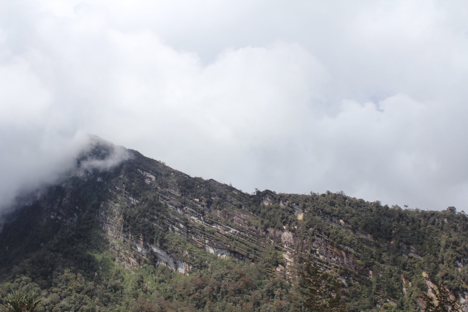 BLOG-GENERATION "YALIMO".: DUSUN ALUKI KAMPUNG WAMBALFAK DISTRIK ...