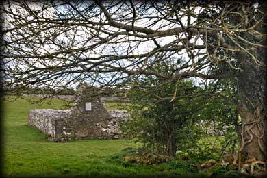 Every Day Is Special: October 29 - National Hermit Day