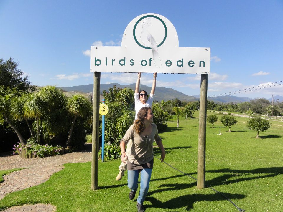 Marianne In Africa: Feestjes, uitstapjes en blauwe teelballen.