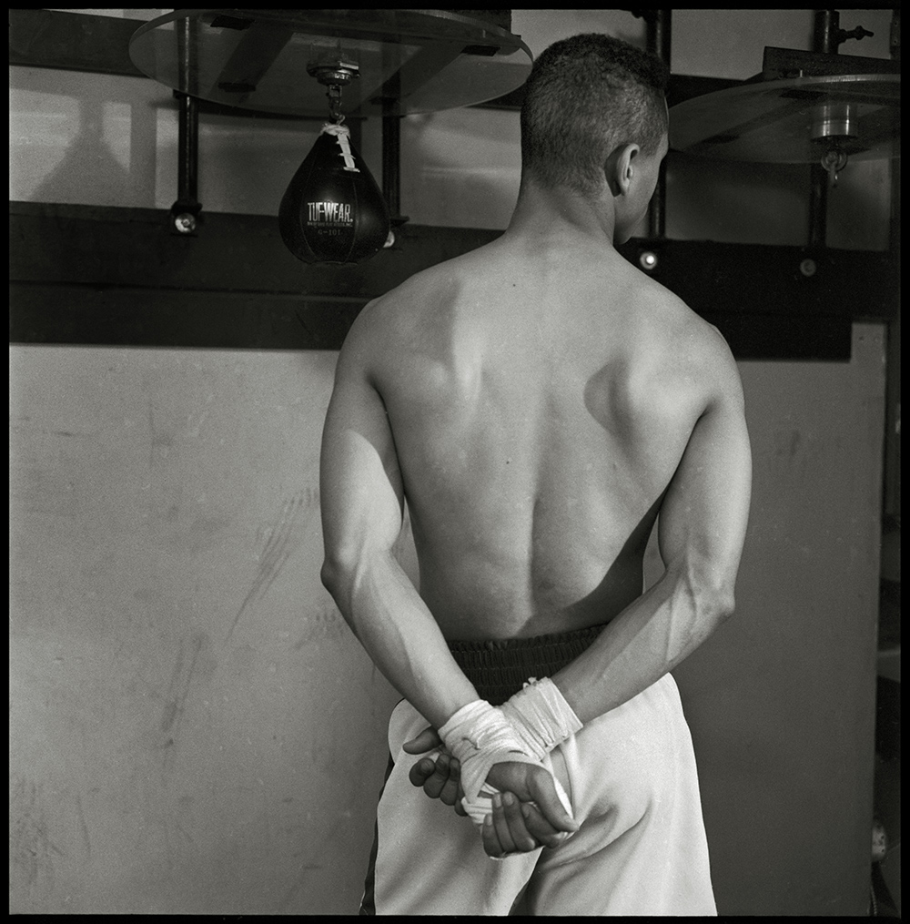 some old pictures I took: The Boxer