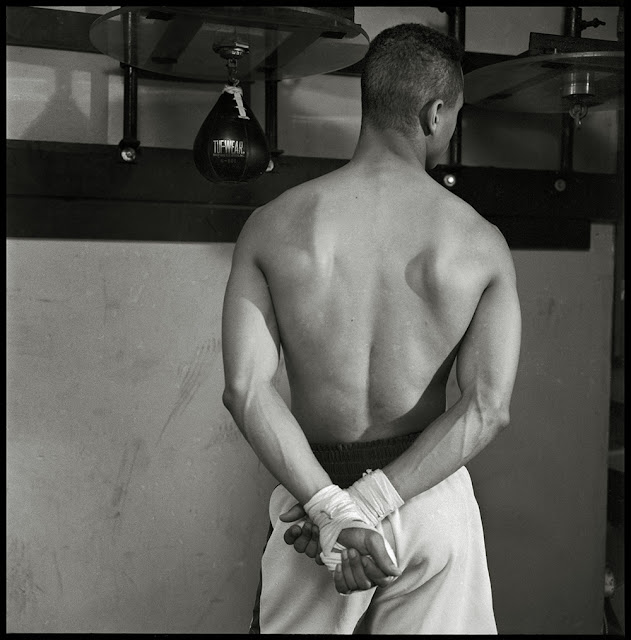 some old pictures I took: The Boxer