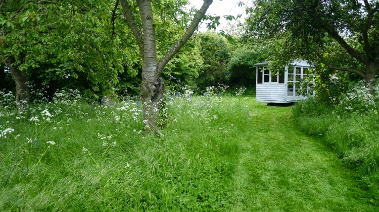 Childerley Hall Siesta Fiesta Food Festival. - Lux Life London