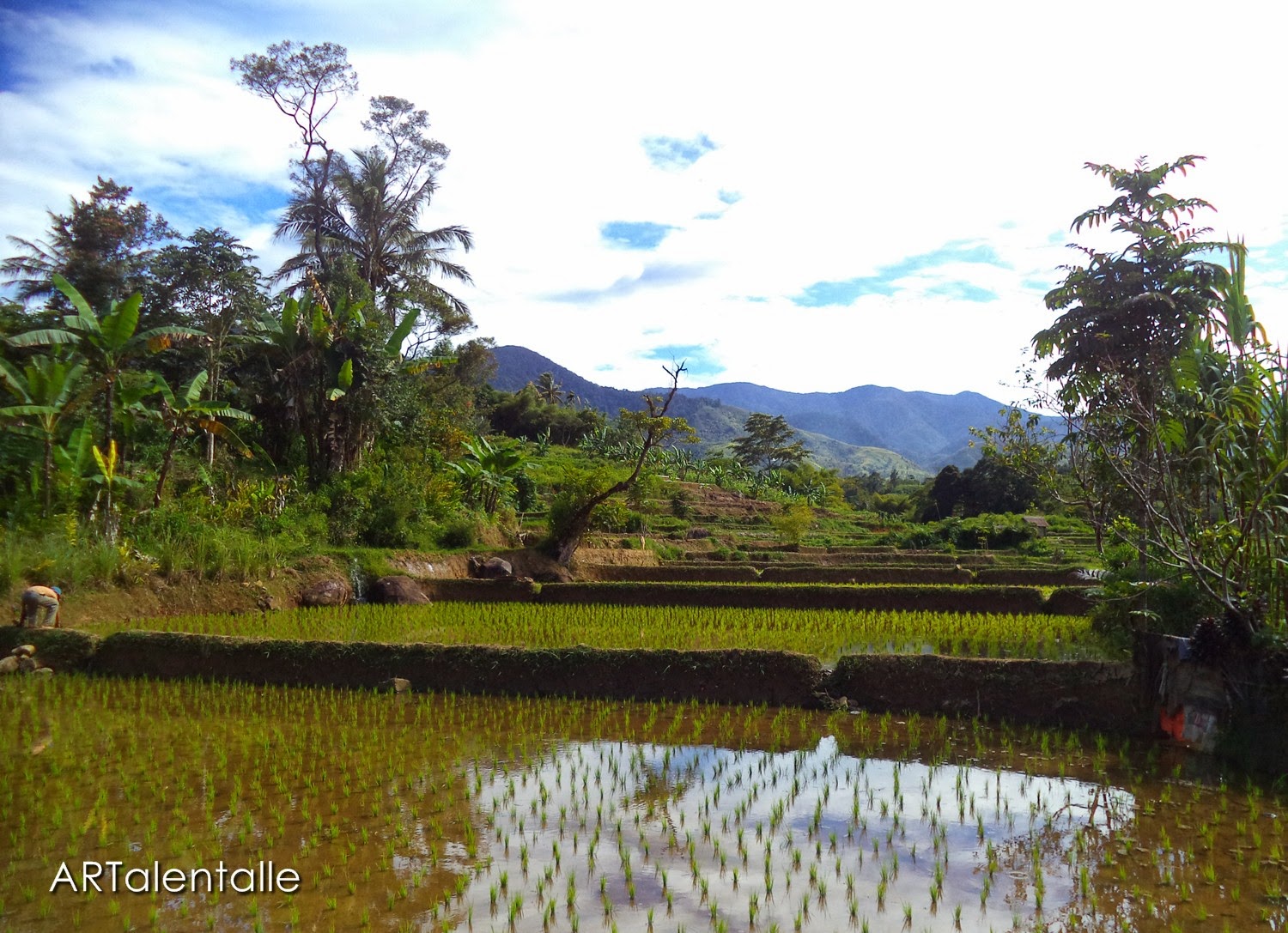 Padangsche Bovenlanden: SOLOK Part.10 'Taratak Nagari Surian'