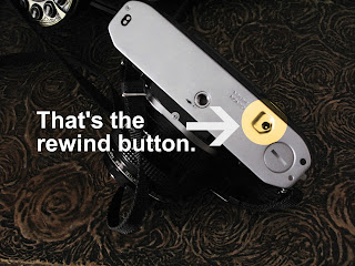 Wynn Anne's Meanderings: February 2011