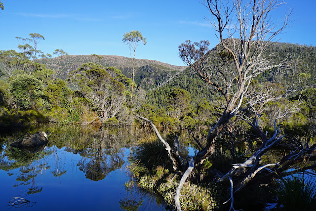 Tarn Shelf Circuit (Mount Field National Park) ~ The Long Way's Better