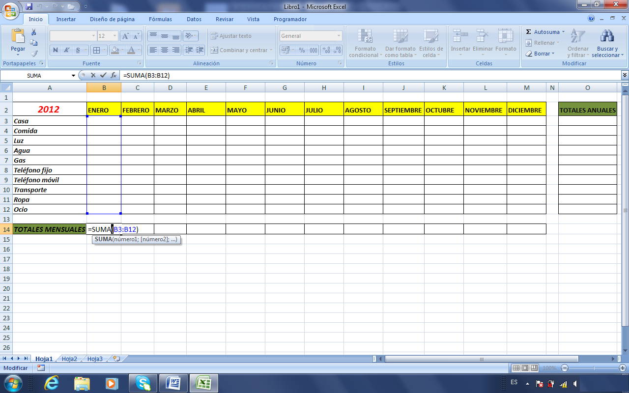 CURSOS IKV: ¿Cómo llevar un control de gastos personal en EXCEL 2007?