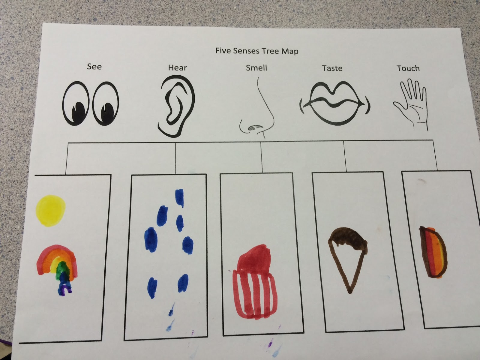 Prek Diaries: 5 Senses