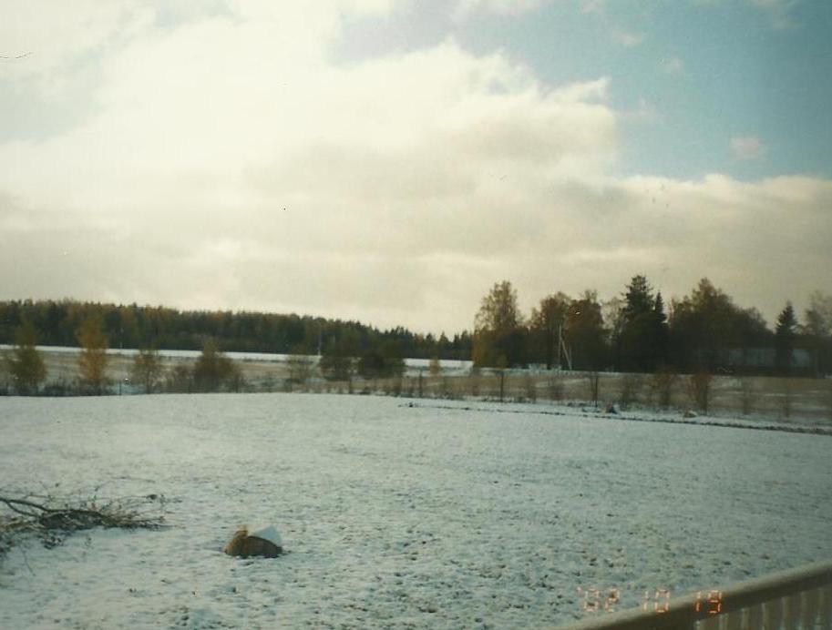 KIMALASE LILLEAED: LOOMINE- 6.lehtla ja hostad