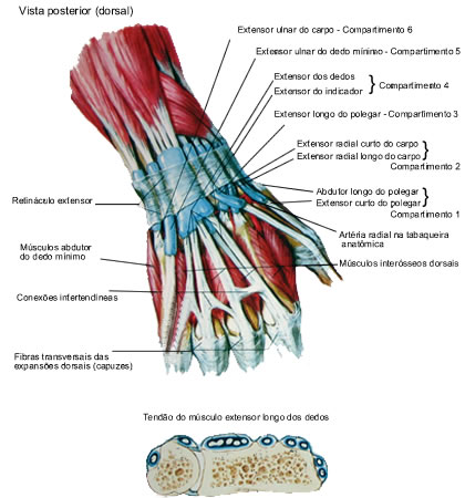 Musculação Quixadá