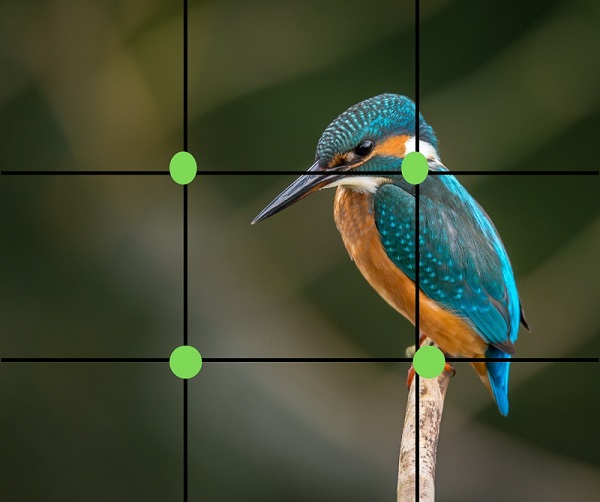 La regla de los tercios - (Curso de fotografía para aficionados) | Blog de Fotografía (Club f2.8 )