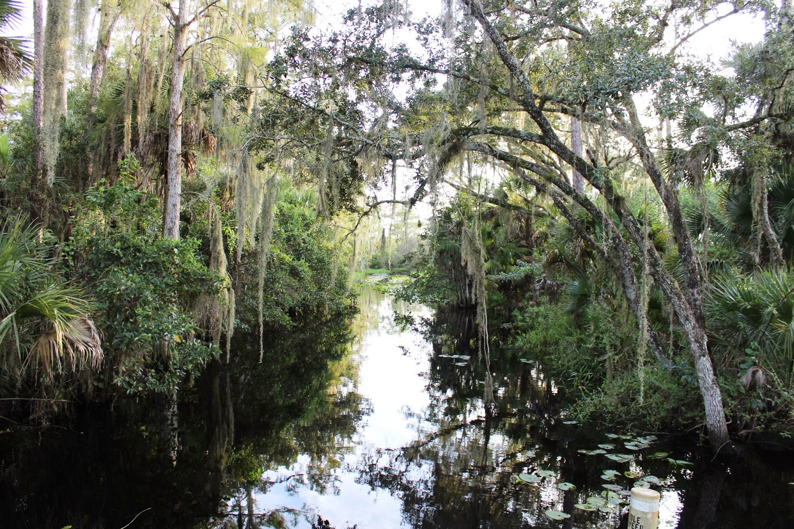 Take Another Road: Hunting and Fishing Babcock Ranch