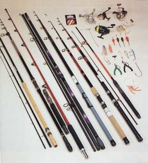 Fiskegrej: Hvordan man skal købe billige fiskestænger online