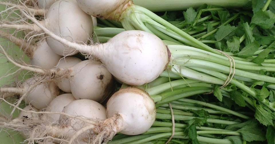 Rotkva - idealno jesenje povrće