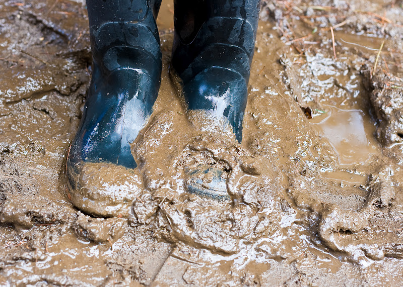 Our Side of the Mountain: Ooey, Gooey Mud: February 18-24