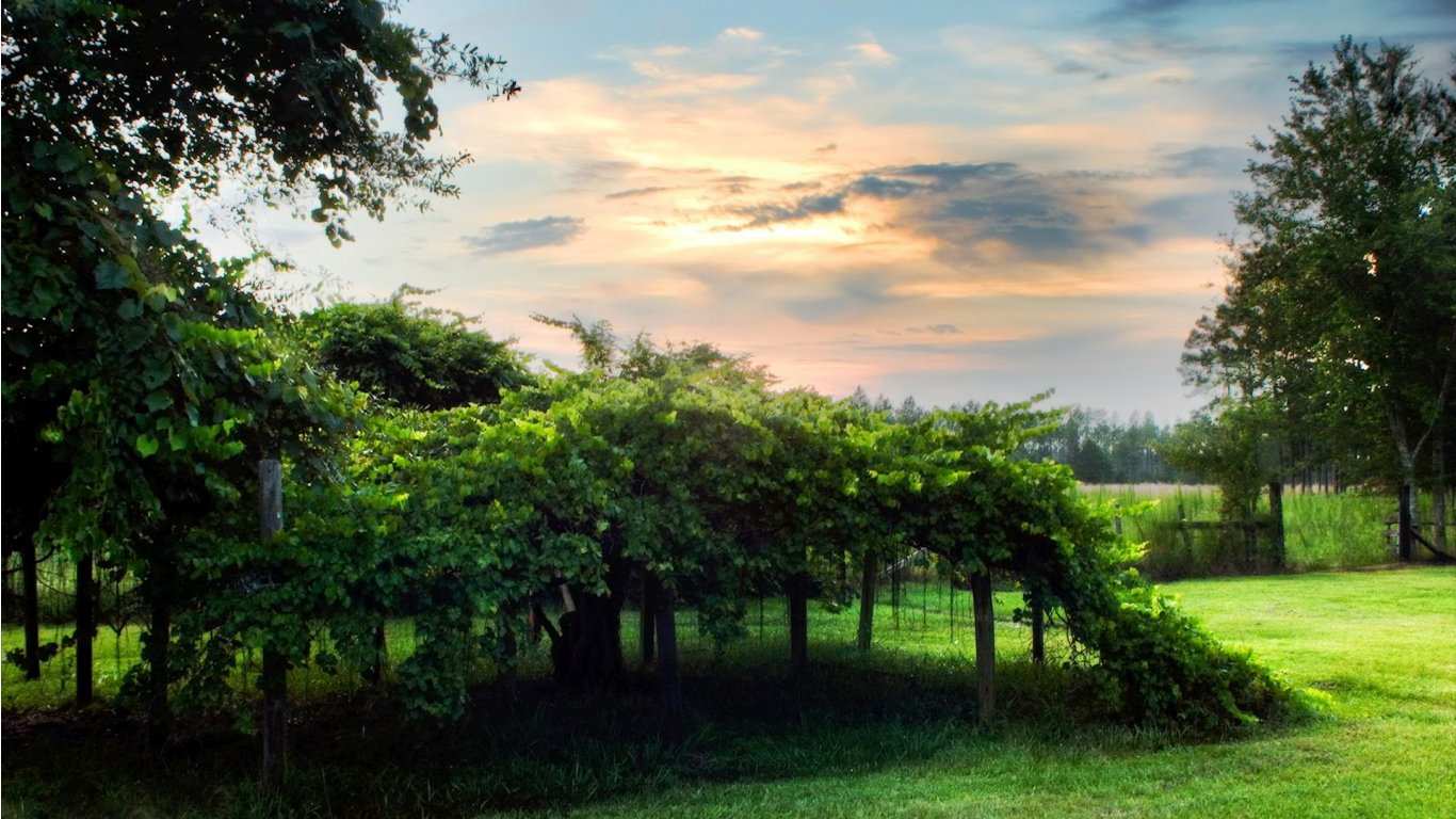 Desktop Nature wallpaper: Beautiful Digital Nature Photography ...