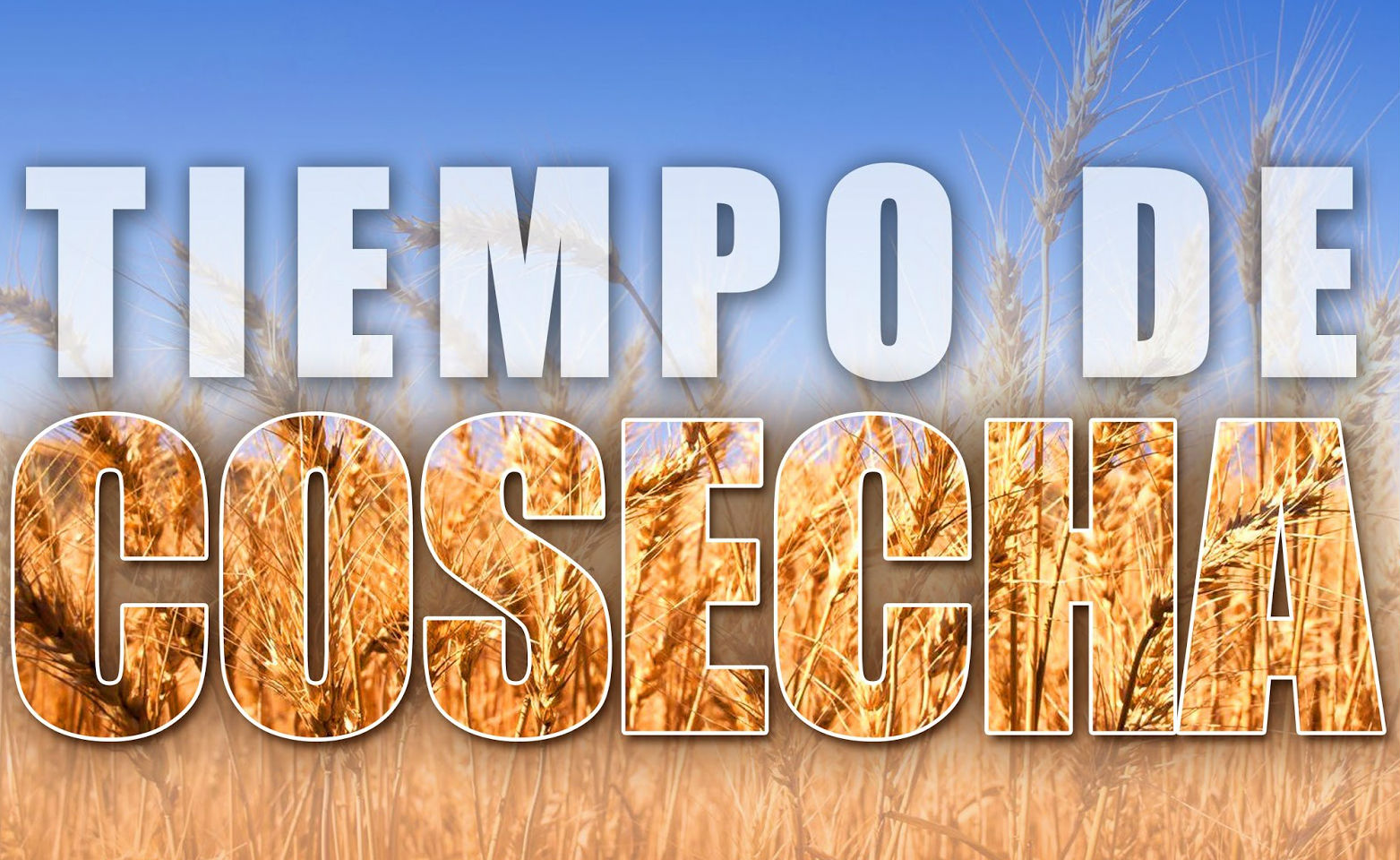 LLAMADOS A COSECHAR | EL REINO SOBRENATURAL.