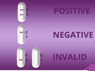 Fujibio Chlamydia Test Kit