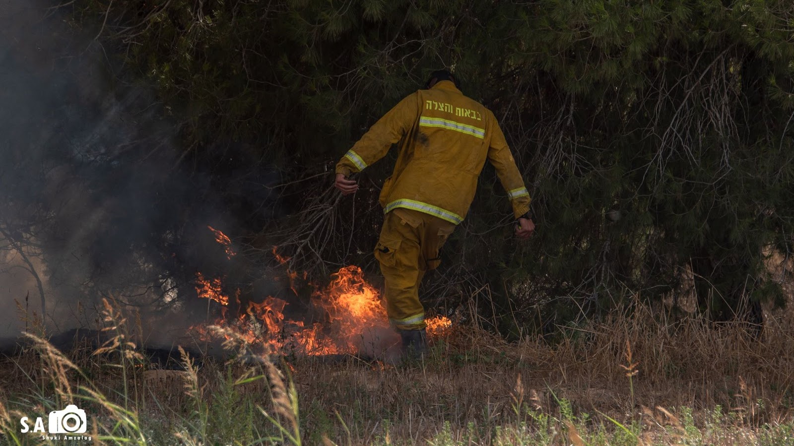 Arson fires continue (many photos and video) ~ Elder Of Ziyon - Israel News