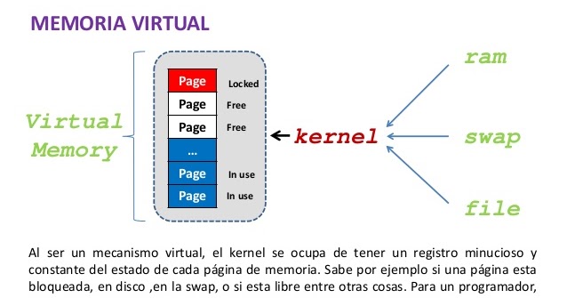 Introduccion a Sistemas Operativos: 3.3 ORGANIZACIÓN DE MEMORIA VIRTUAL