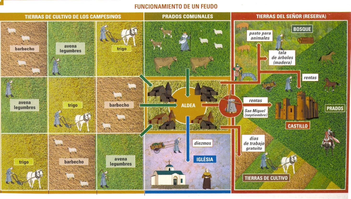 Historia Época Moderna: Funcionamiento de un feudo