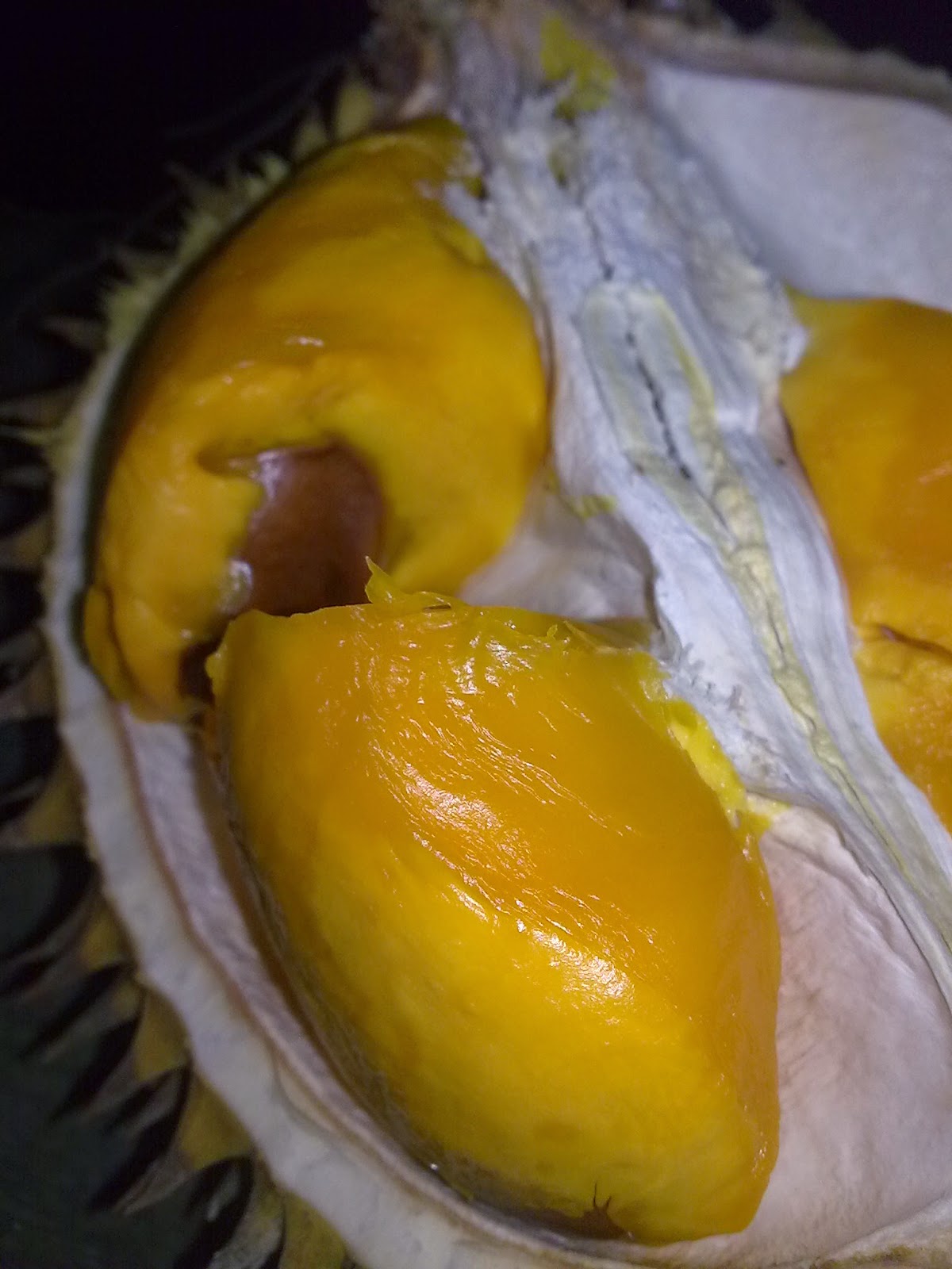 Hajimemashite, Poppy Angel: Elai, Buah Khas Kalimantan - Pertanian Buah ...