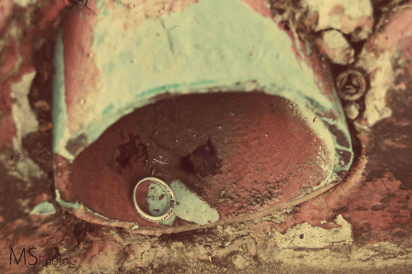 Framing Assignment - CVHS Photography