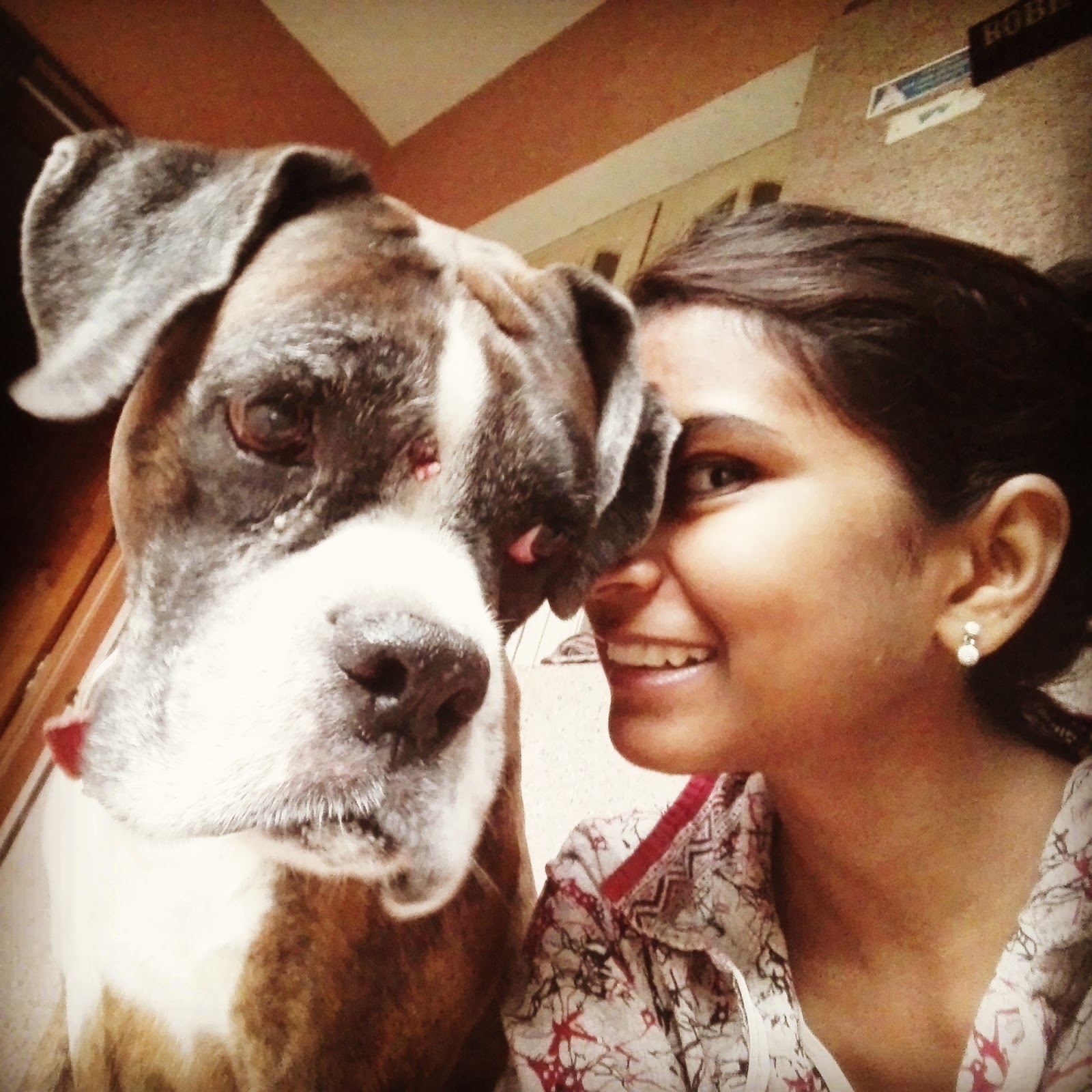 Clueless welcomes clueless.: 5 Life Lessons My Dog's Death Taught Me.