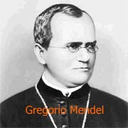 Frases y biografias: Gregorio Mendel