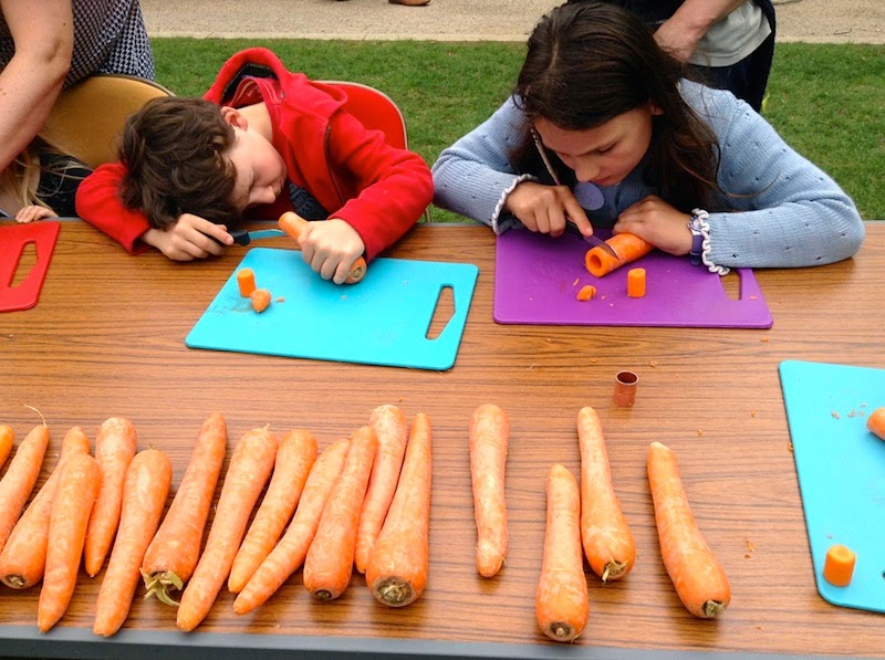 Education Pitt: Pitt Fest 2014: Sunshine, music and craftiness in all ...