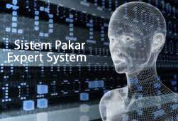 Pengertian Sistem Pakar? besertanya contohnya | Santuy Teknologi