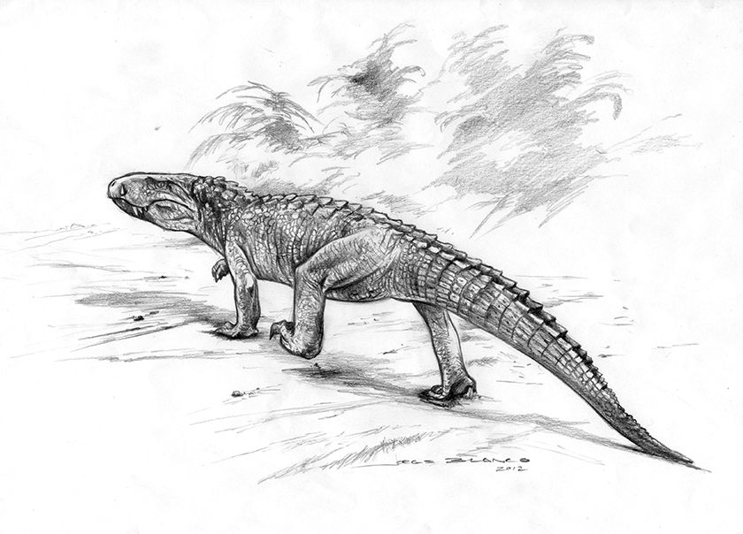 Escenarios prehistóricos: Campinasuchus