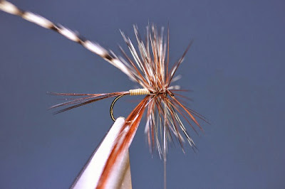 Niklas Dahlin -Flytier: Grey Fox Variant