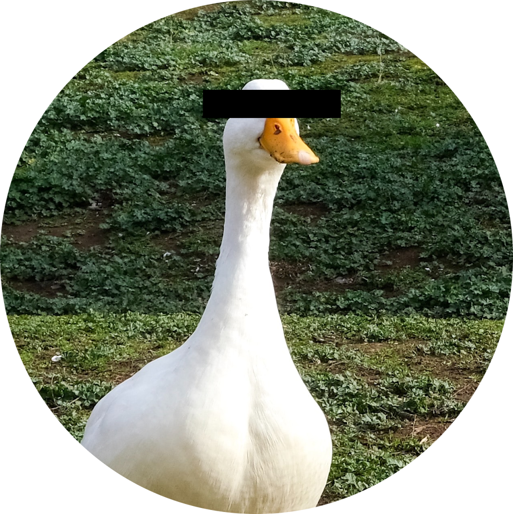 Sad Goose Cooperative