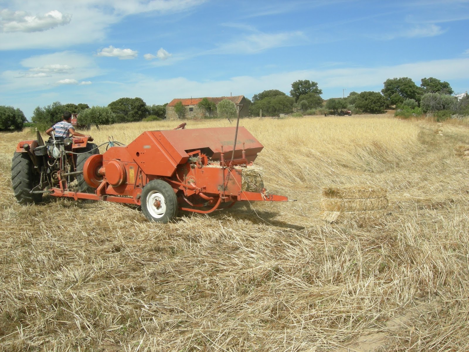 aGreste: Ceifa do centeio